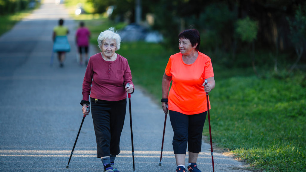 OT and the Therapeutic Use of Walking Poles - OT Toolkit™ Blog